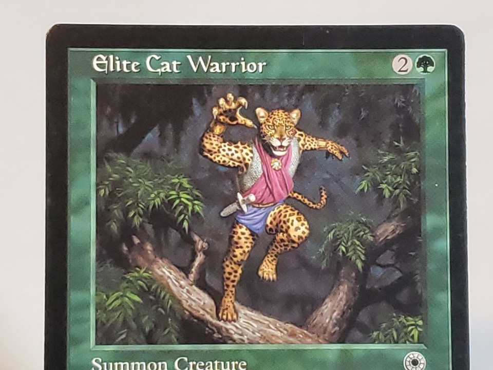 MTG Elite Cat Warrior (2) Portal Regular Common Magic | eBay