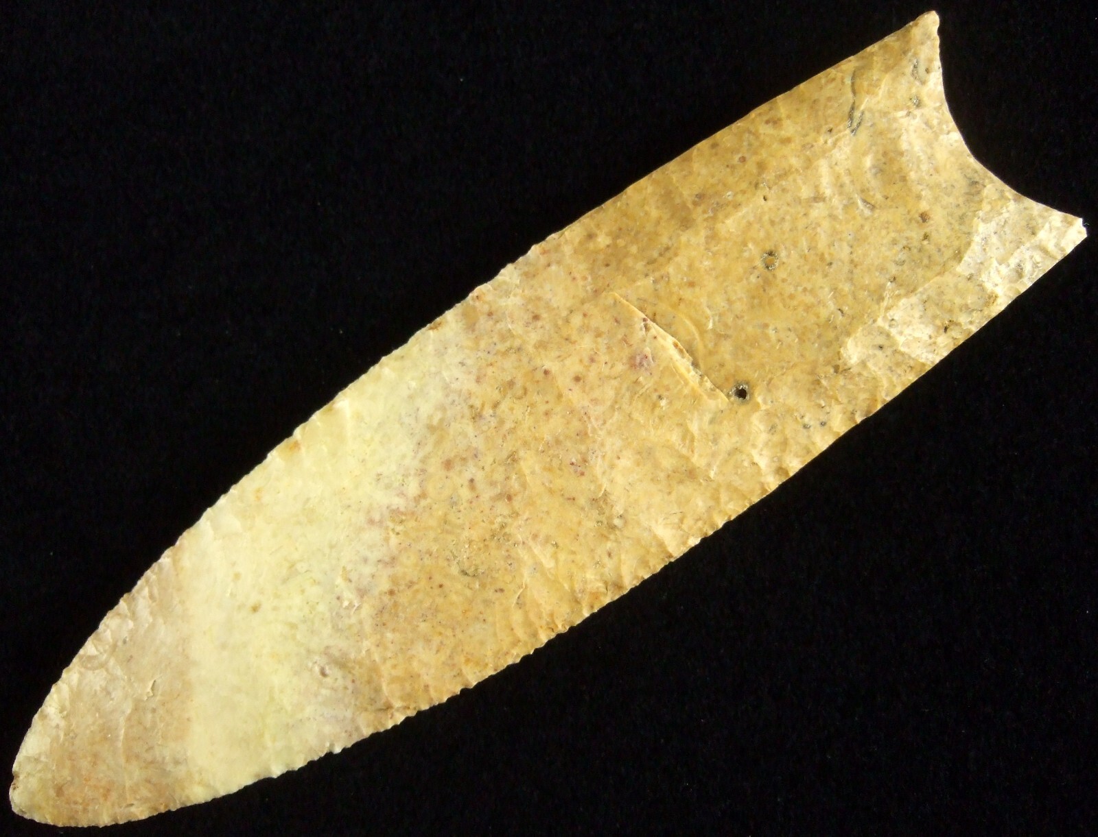Exceptionally Fine 5 3/8 inch Indiana Clovis Point with T&T COA ...