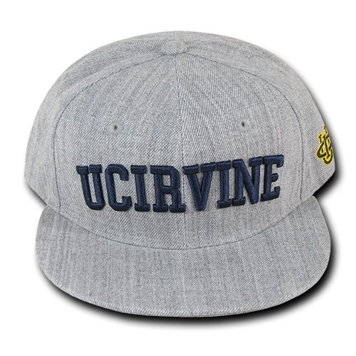 Gray University California UCI Irvine Anteaters NCAA Snapback Baseball ...