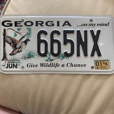 Vintage 2001 Georgia License Plate Give Wildlife a chance | eBay