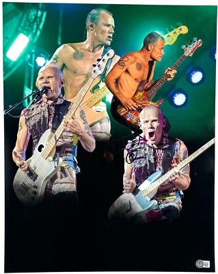 Flea Red Hot Chili Peppers Signed Autograph 16x20 Photo Poster RHCP ...