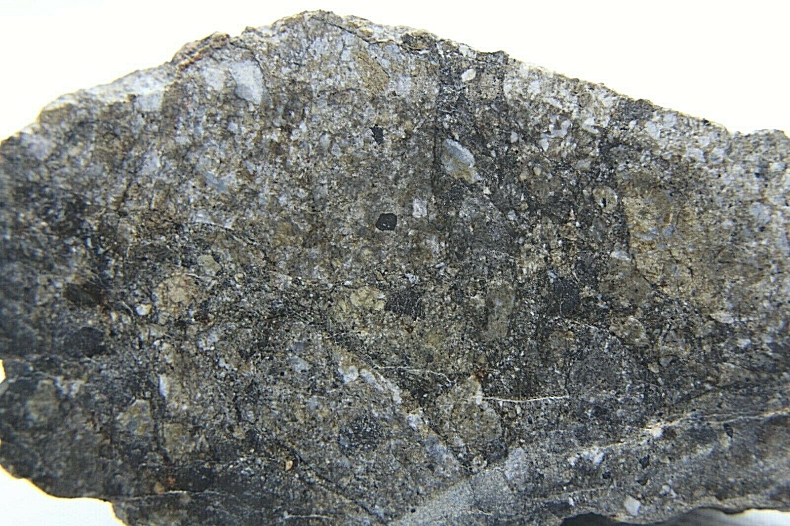 Meteorite NWA 13280 HED Achondrite polymict breccia Eucrite meteorite ...