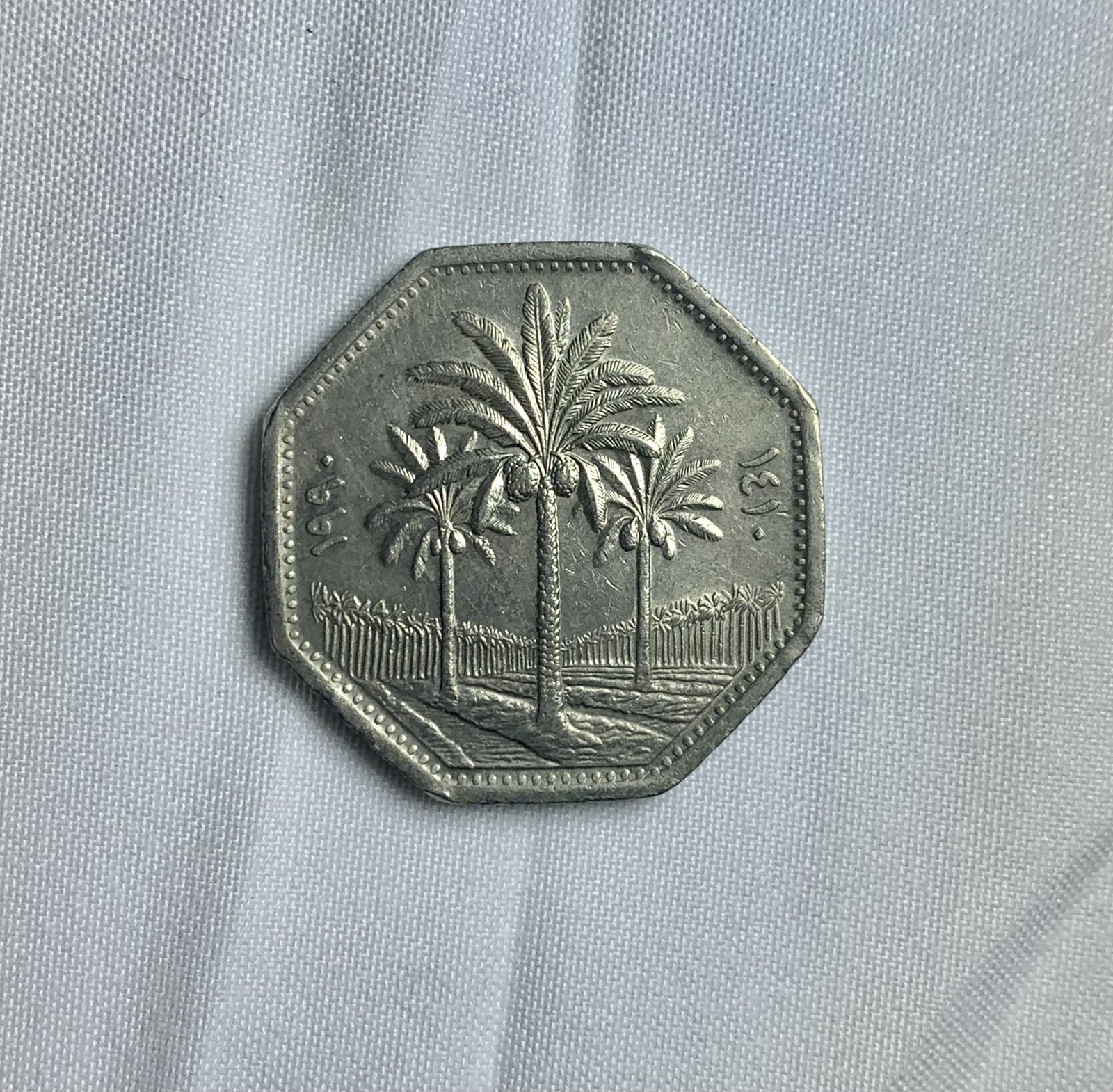 1981 (1401) Iraq 250 Fils ***LARGE*** Palm Tree Coin | eBay