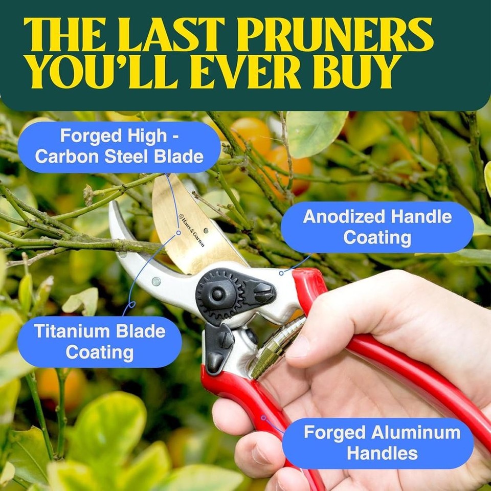 Titanium Pruning Shears - Best Tree Trimmer Garden Shears | eBay Australia