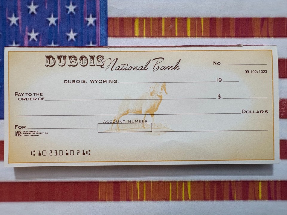 Vintage Checkbooks 2 Diff. w/ 100 Unused Checks Some with Stubs, Dubois ...