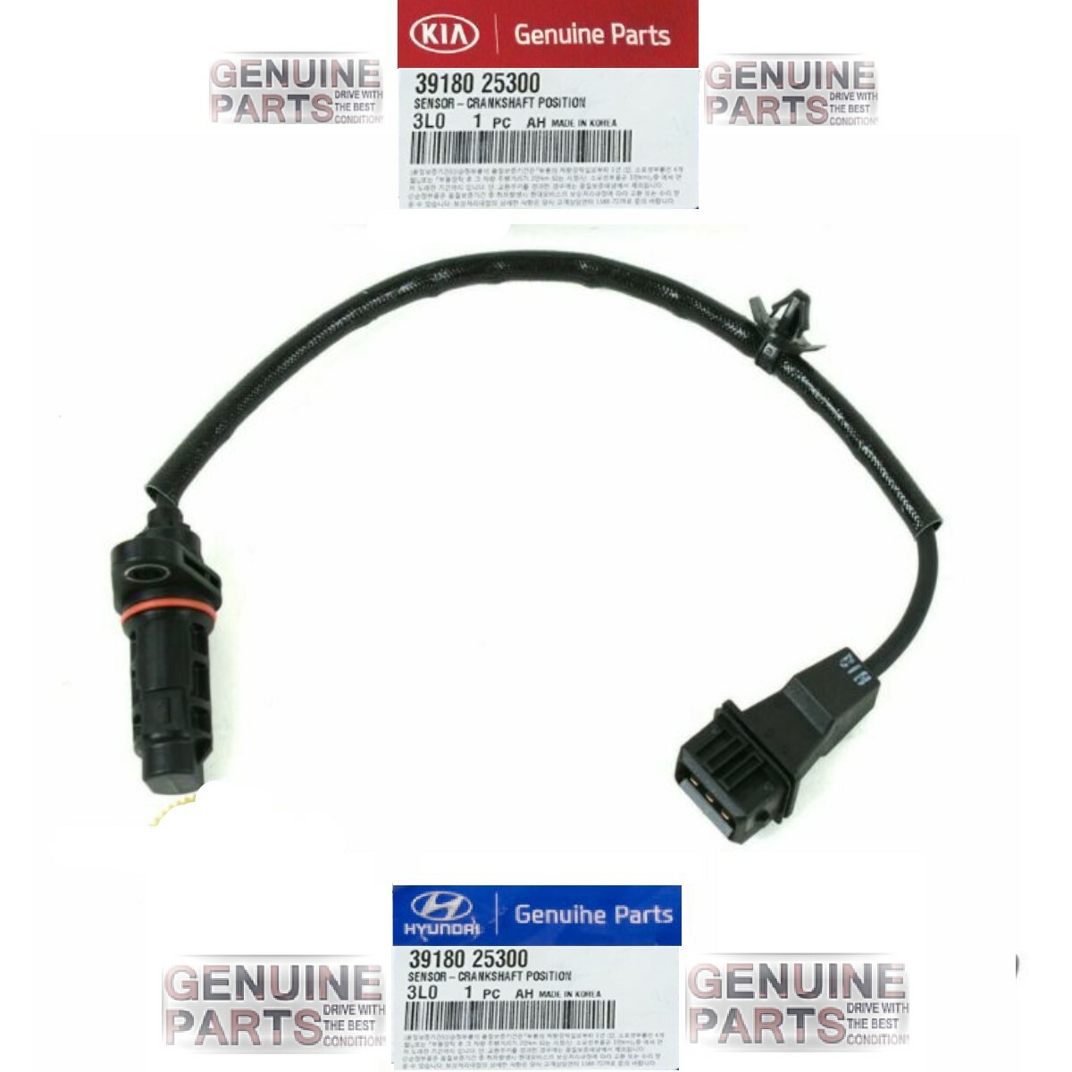 GENUINE Crankshaft Position Sensor Hyundai Kia 2.0L 2.4L Sonata Santa ...