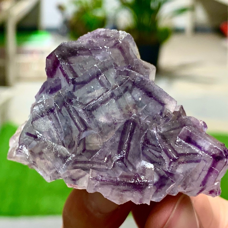 109G Rare Purple cubic fluorite mineral crystal sample/nner Mongolia ...