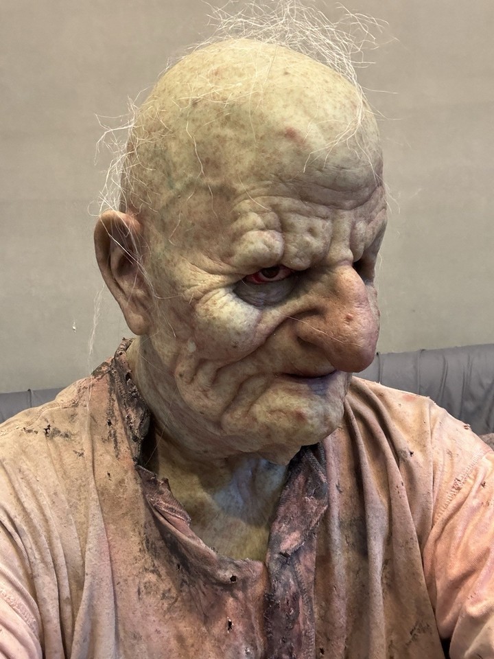 Immortal Masks Hag Silicone Mask Halloween Cosplay | eBay