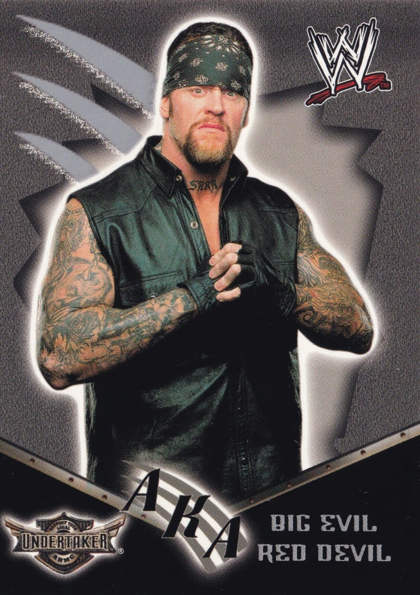 Wwe Undertaker 2002