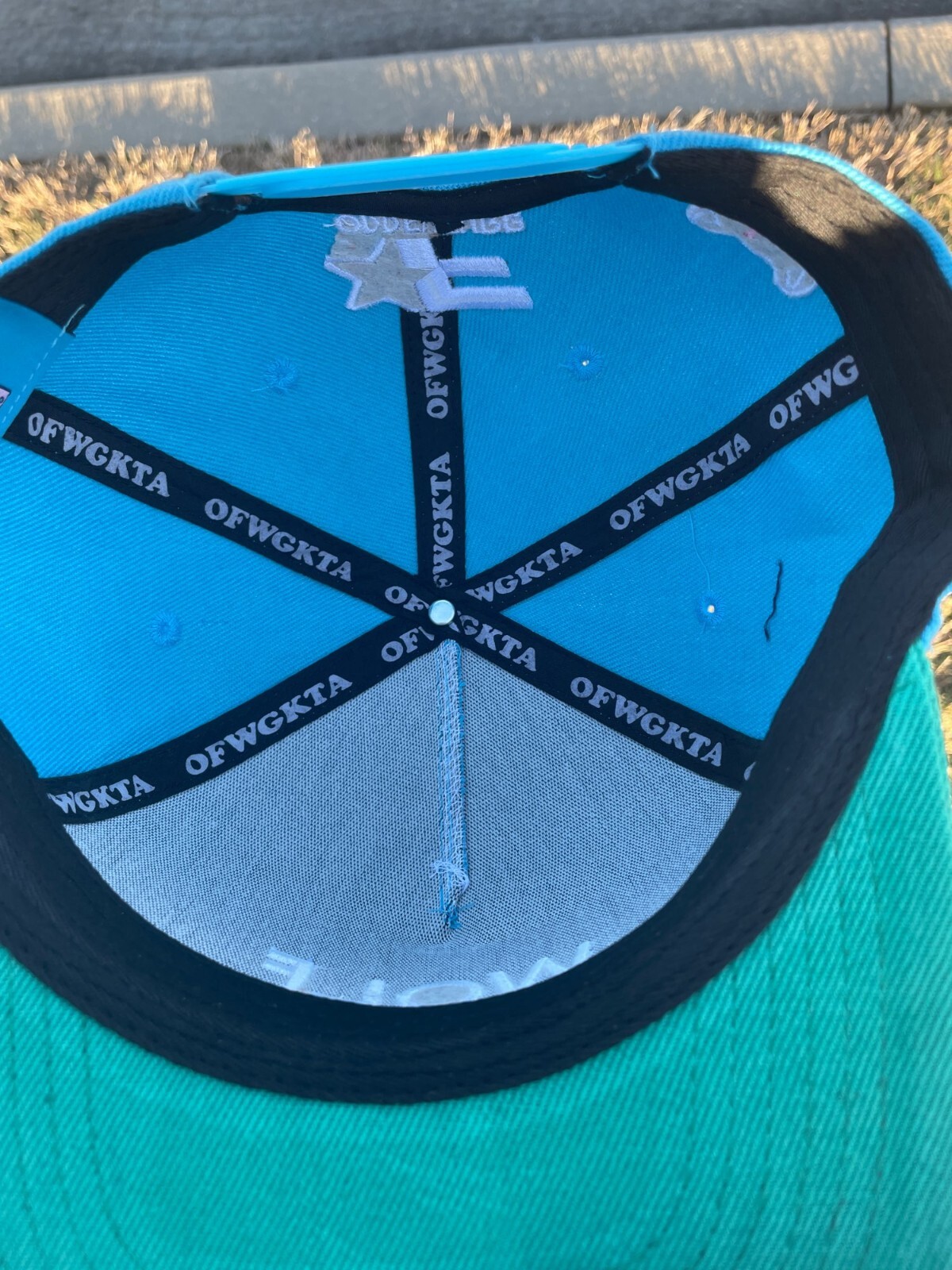 Tyler the Creator Wolf Mens Womens Hat Cap Snapback Cap Casquette ...