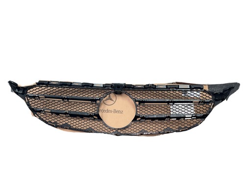 Mercedes Benz Genuine C Class 2015-2018 Protective Grille OE 2058804202 ...