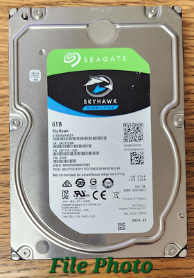 Seagate SkyHawk 6TB 3.5" Surveillance Hard Drive SATA ST6000VX0023 | eBay
