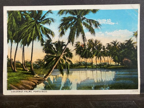 Puerto Rico 1940-50s, Tarjeta Postal, sin usar/unused, WALDROP Co., San ...