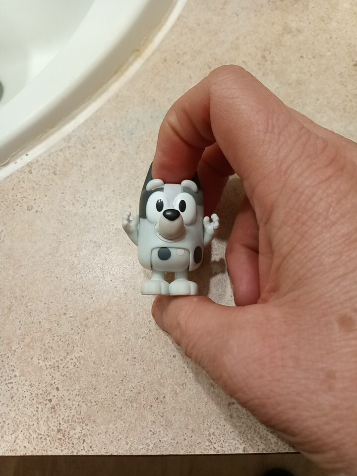 Bluey Bingo and Friends Figure Mackenzie Gray Dog Ludo Studio Moose | eBay