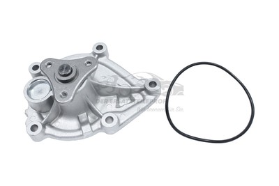 Citroen Peugeot Wasserpumpe C3 C4 DS3 DS4 C5 Picasso 207 208 308 3008 ...