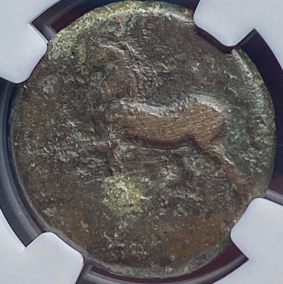 Numidian Empire Coin 208BC-118BC Punic War Carthage Era NGC Ancient ...