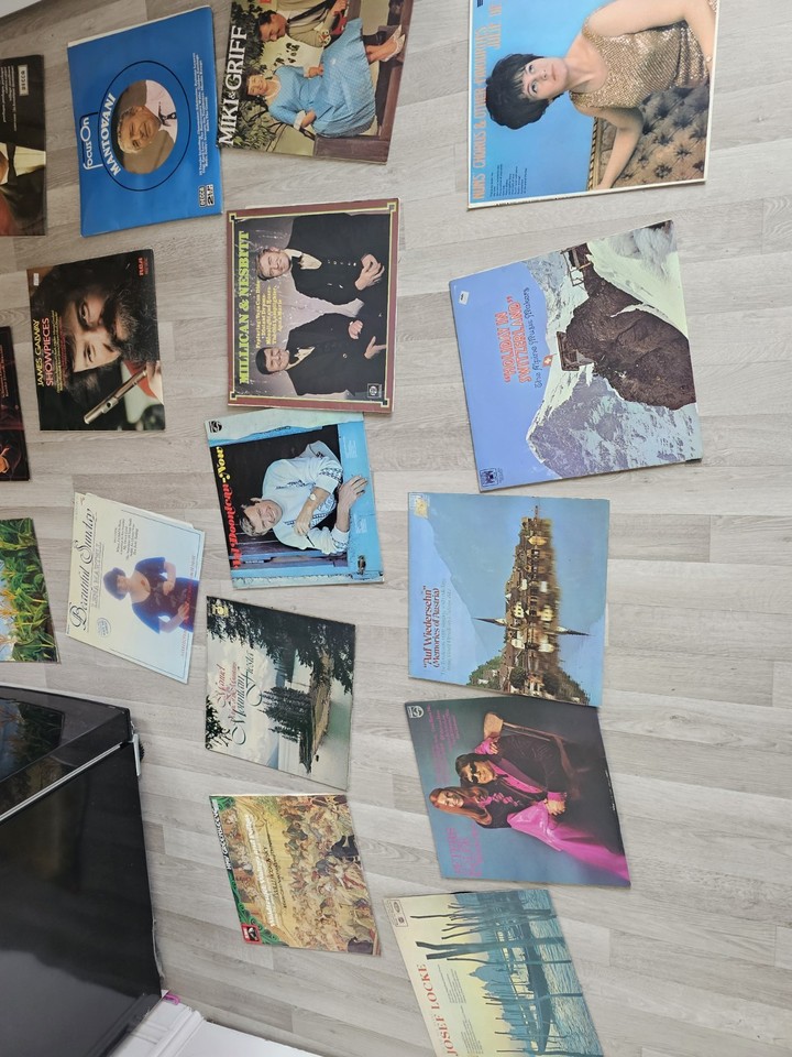 29X VINYL RECORD ALBUMS - 12" LP Bundle,Random,collection faimos artist ...