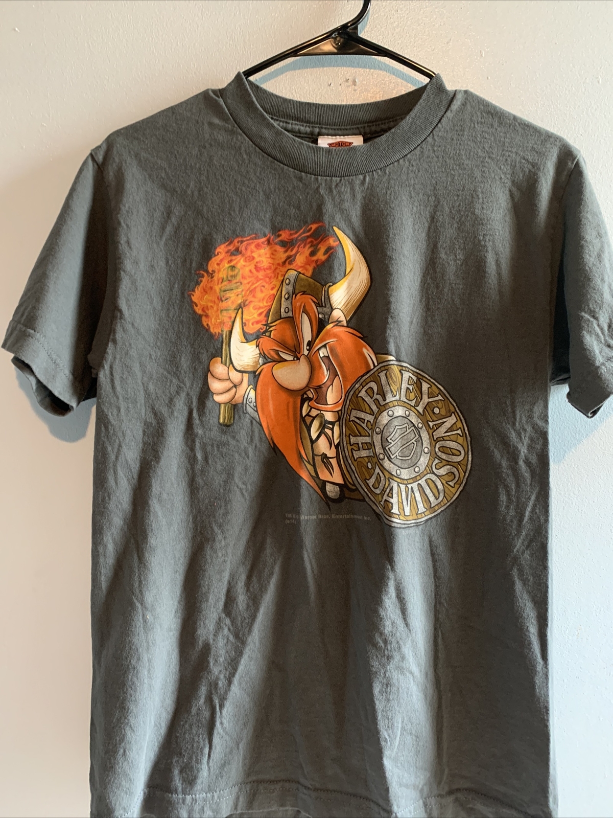 Harley Davidson Warner Bros. Brothers Sam Twin Cities… - Gem