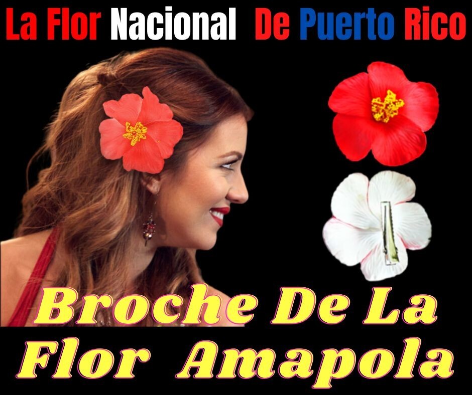 Puerto Rican Flag Skirt Set & Star Belt 3PC Traje Típico Jíbara Boricua ...