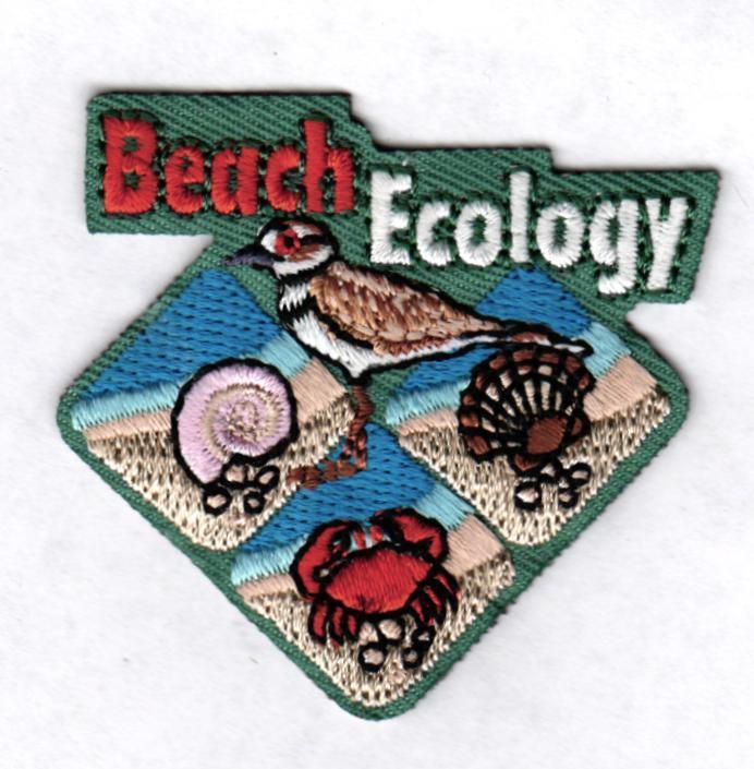 Girl Boy Cub BEACH ECOLOGY science study walk Patches Crests Badge ...