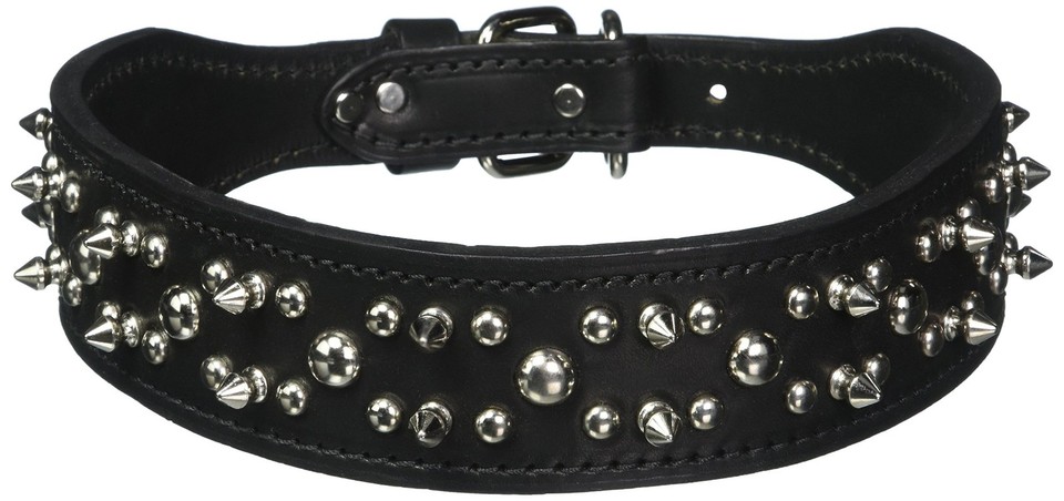 Spiked & Studded Latigo Leather Pet Collar, 2" x 29", Black | eBay