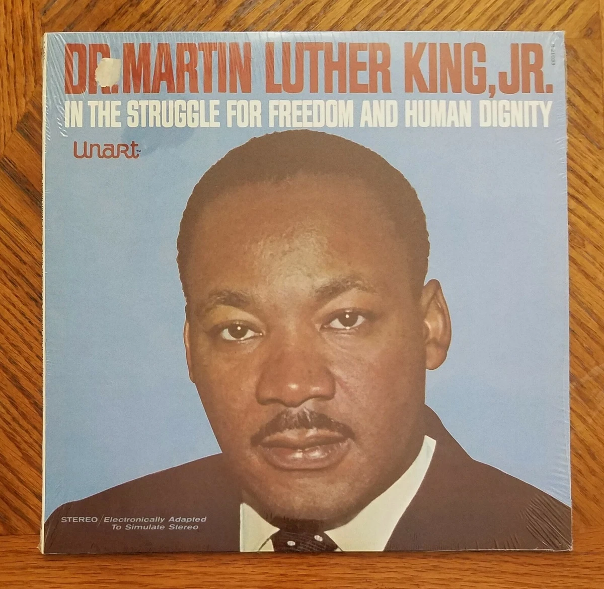 Martin Luther King Jr Struggles