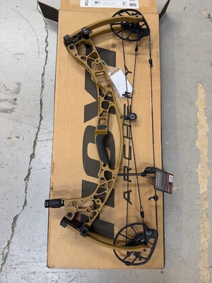Hoyt AX2 29 70# RH Bourbon NEW 2072295 | eBay