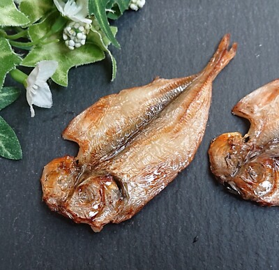 Food sample dried horse mackerel magnet fake food vinyl resin handmade ...
