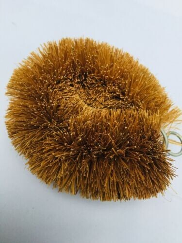 Vegetable Cleaning Scrubbing Brush Potato Carrot Fruits Scrubber ...
