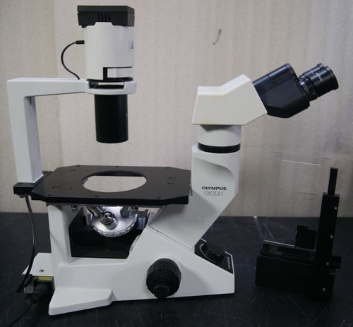 Olympus CKX41 Inverted Microscope. | eBay