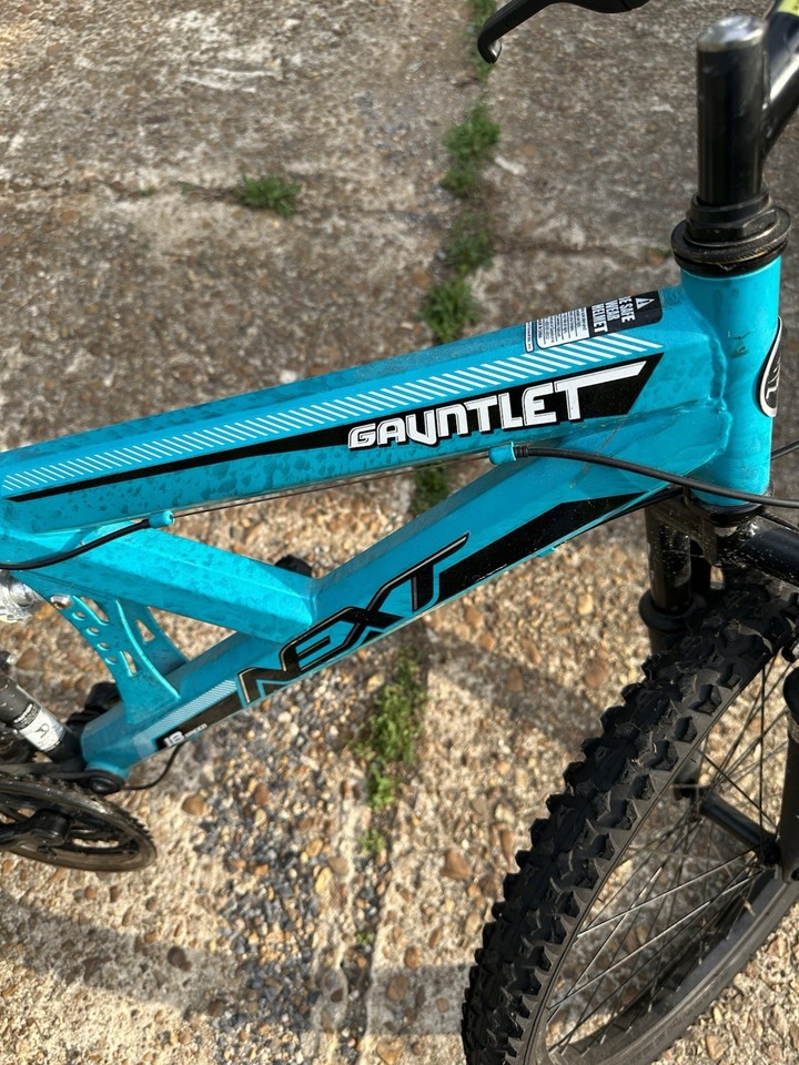 Next Gauntlet 18 Speeds Mountain Bike Cyan | eBay