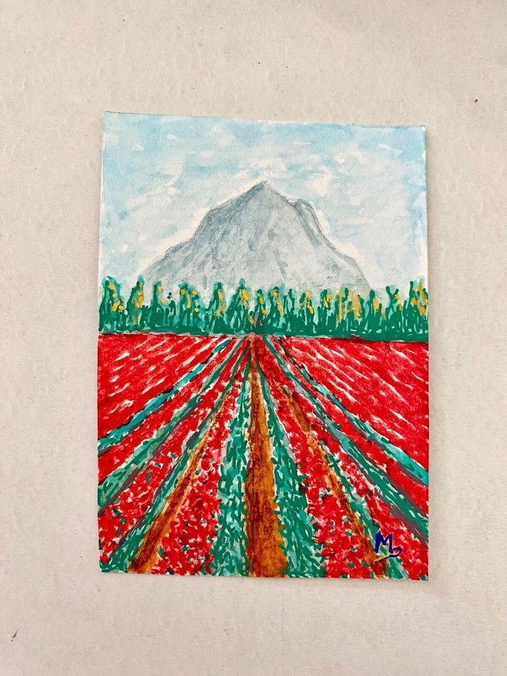 Mount Rainier and Tulips Original ACEO Painting Tulips Field Art ...