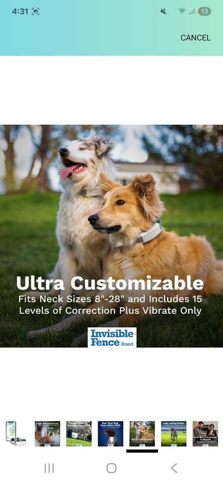 Invisible Fence Brand Dog Collar with Power Cap and Tractive GPS ...