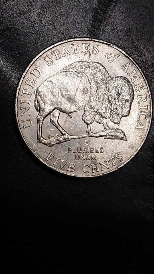 2005-P 5C Bison Jefferson Nickel Speared Buffalo 🔥RARE🔥 | eBay