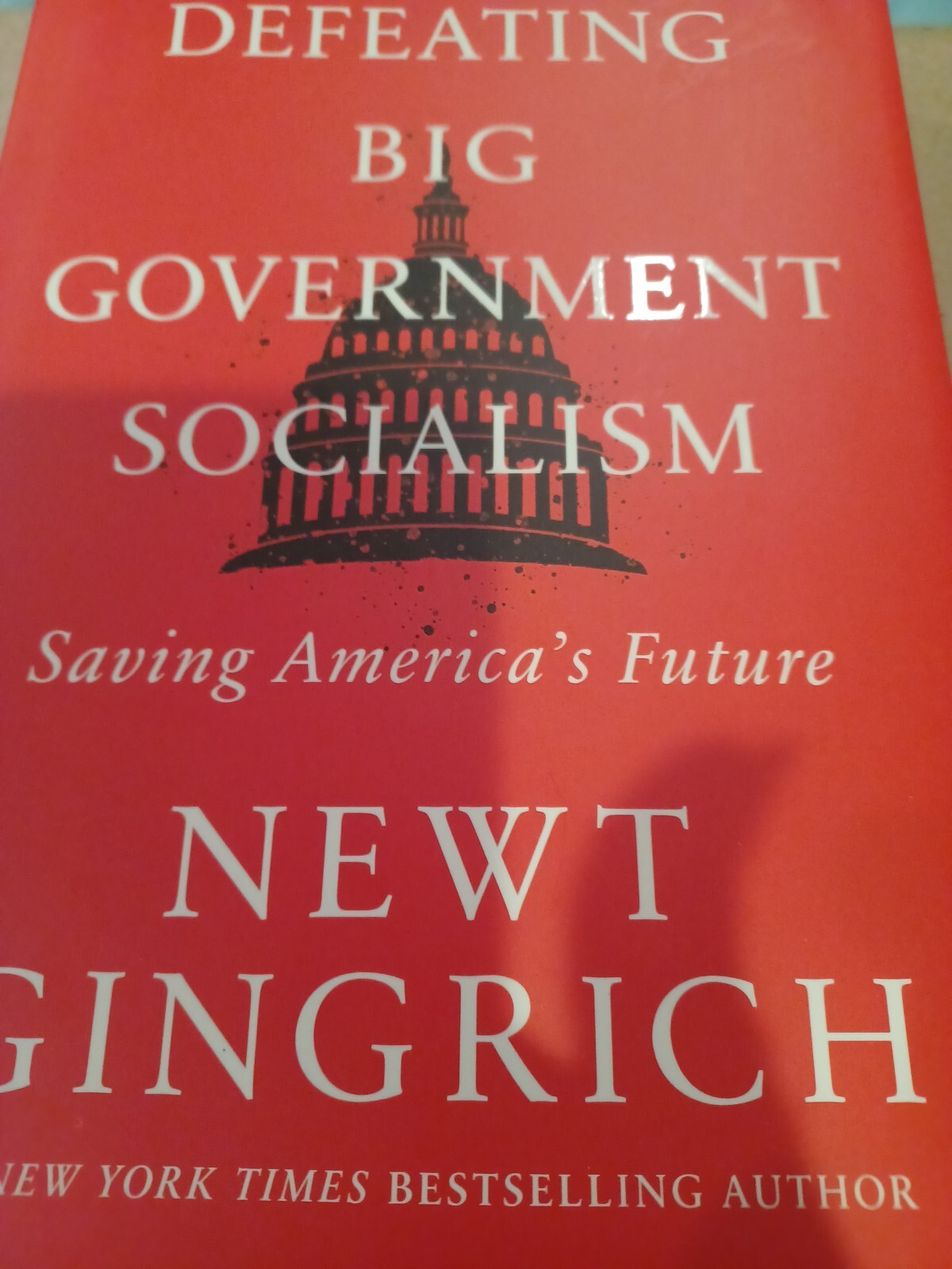 Defeating Big Government Socialism : Saving America's Future, Hardcover ...