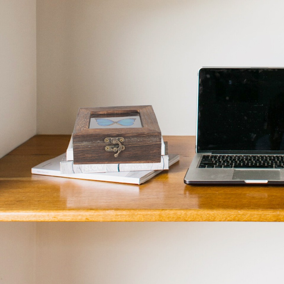 Acrylic Wood Butterfly Specimen Box Entomology Kit Sample Container | eBay