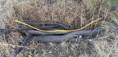 42 lbs 27" Draw NEW Bend Through Handle Character Osage Orange Long Bow ...