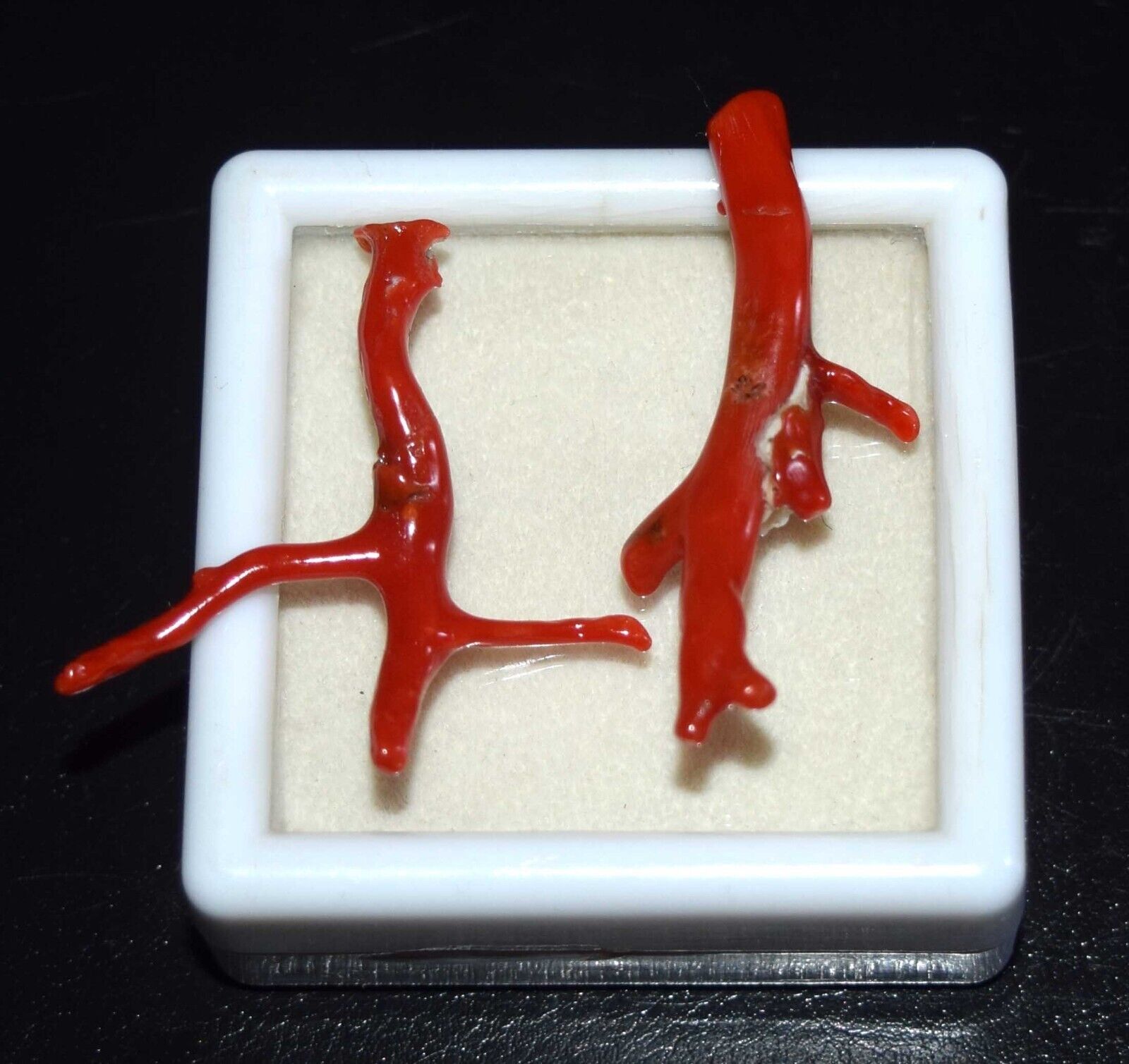 Natural Italian Red Coral Rough Loose Gemstone, Polished Coral Stick 16 ...