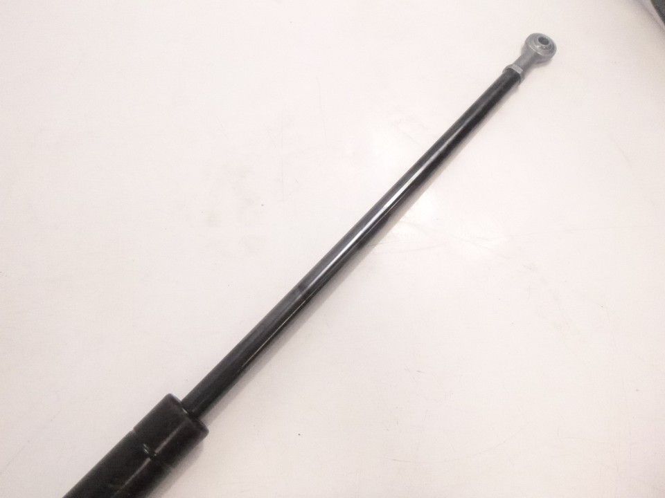 OEM Kenworth Assist Hood Strut T800 L71-6034 | eBay