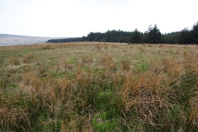 Photo A2 Boggy field on Sunderland Pasture Cragg Vale/SE0023 The path e ...