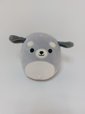 5" Squishmallow Brian the Dog | eBay