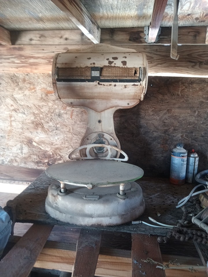 Antique The Standard Computing Scale Co Dry Goods General Store ...