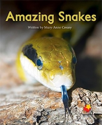 Amazing Snakes by Creasy (English) Paperback Book | eBay Australia