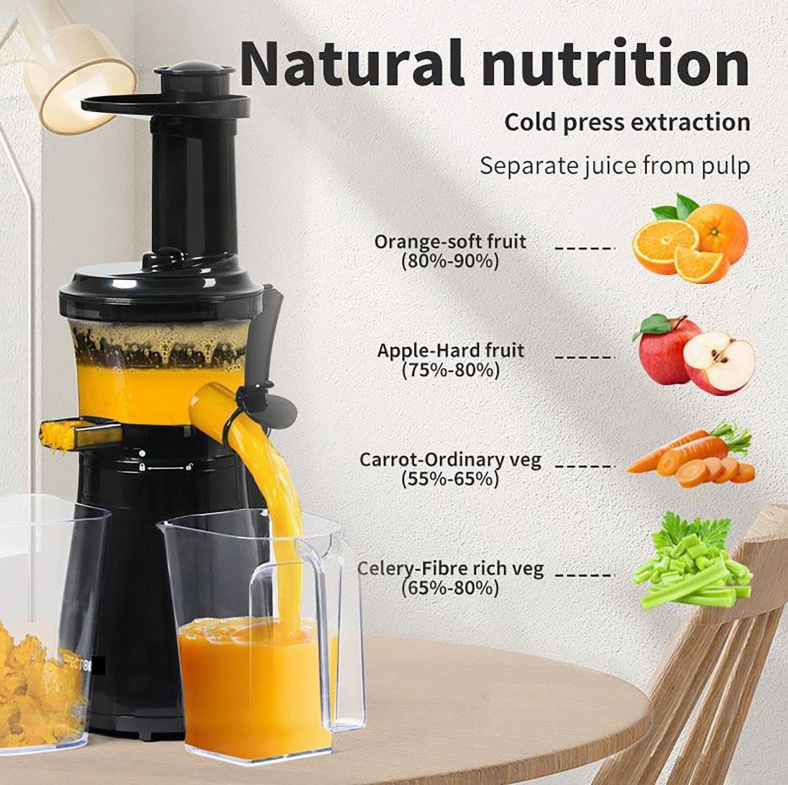 Taylor & Brown Slow Masticating Juicer Extractor for Vegetables Fruit ...