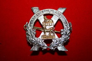 Andrew Butler Insignia | eBay Stores