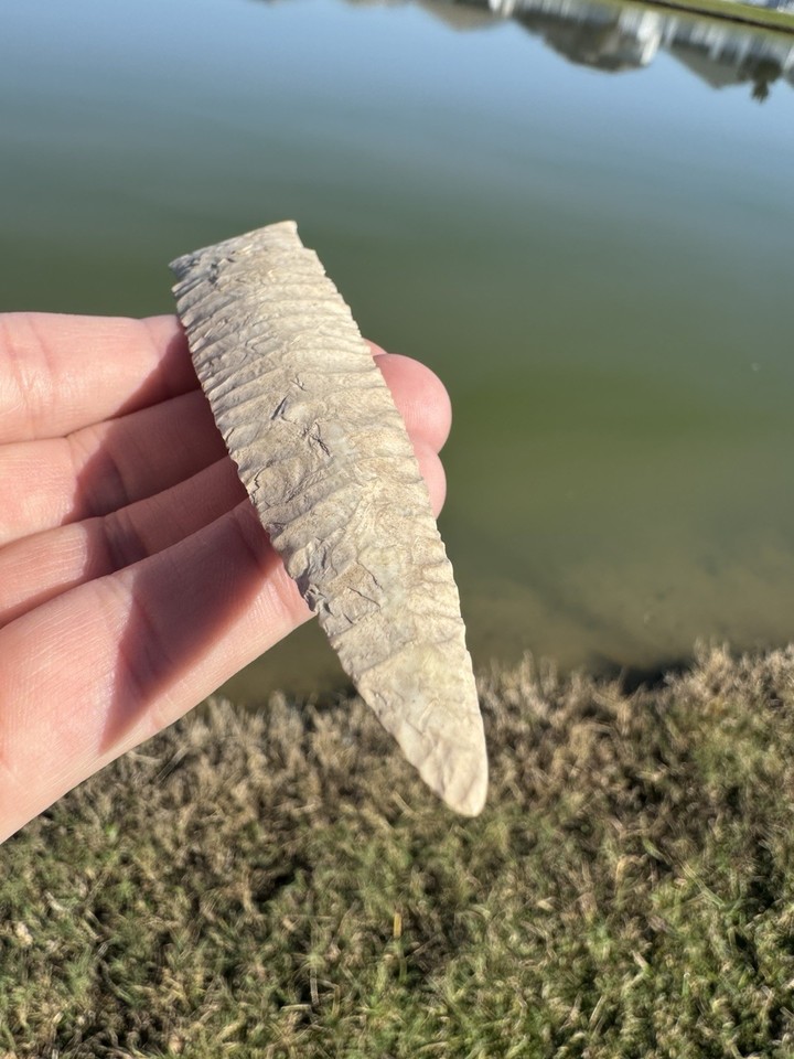 Rare Native American Paleo Scottsbluff Arrowhead Spearpoint Blade ...