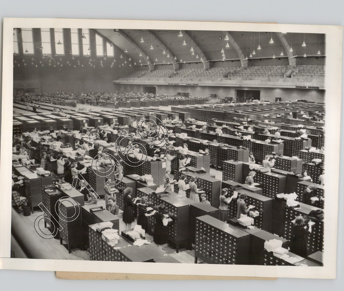 File Division Clanwilliam Launches UK Division With New Leadership