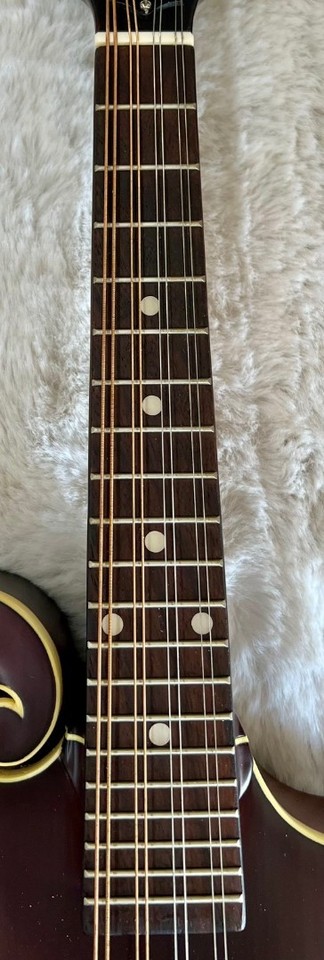 The Loar LM-590-MS Contemporary Acoustic All Solid F-Style Mandolin | eBay