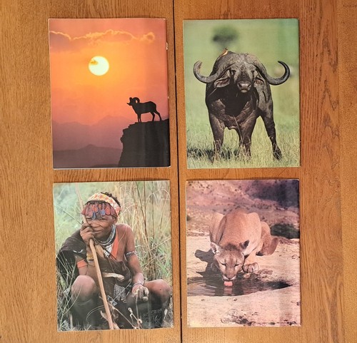 Lot of 4 - Vintage 1982 National AND International Wildlife Magazines ...