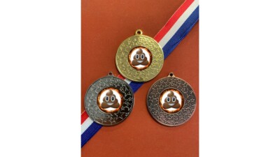 Dog Poo Loser Metal Medal & Red White Blue Medal Ribbon 50mm Gold ...